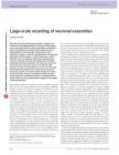 Large-scale recording of neuronal ensembles.pdf - 豆丁网