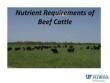 Nutrient Requirements of Beef Cattle - 豆丁网