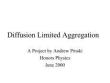 Diffusion-Limited-Aggregation - 豆丁网
