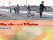 Migration and Diffusion - 豆丁网