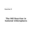 The Hill Reaction in Isolated Chloroplasts：在离体叶绿体希尔反应 - 豆丁网