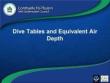 Dive Tables and Equivalent Air Depth：潜水表和等效空气深度 - 豆丁网